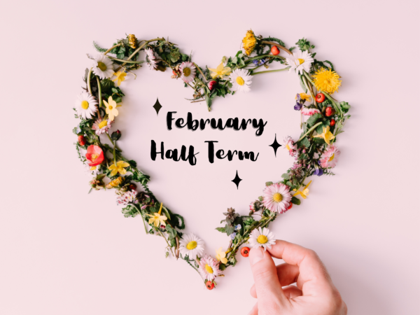 Elm Nursery - Elm Nursery