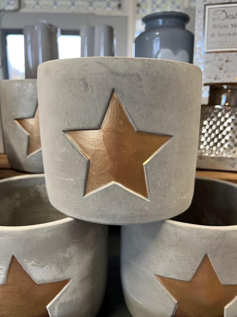 Gold star pots - Elm Nursery